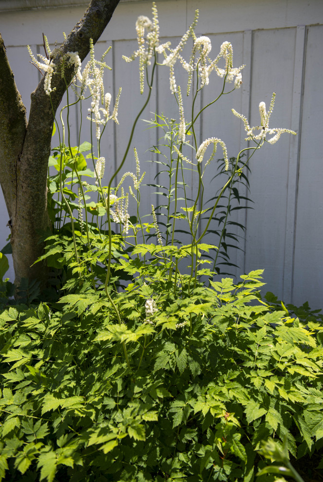 Rustic Landscape Makeover - Cedarburg - Rustic - Landscape - Milwaukee ...