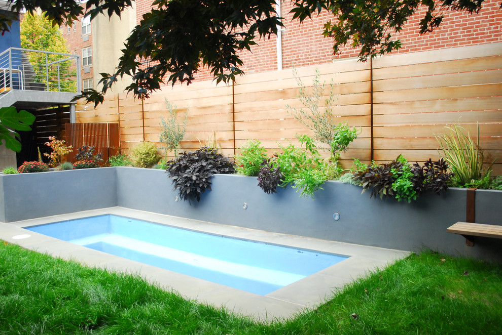 Saltwater Pool, planter and fence - Modern - Landscape - Philadelphia ...