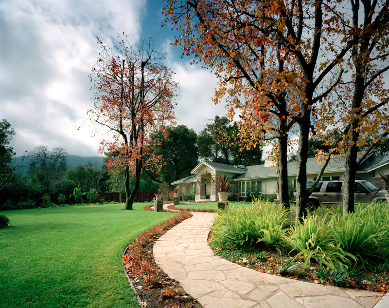 San Francisco Bay Area - Mediterranean - Landscape - San Francisco - by ...