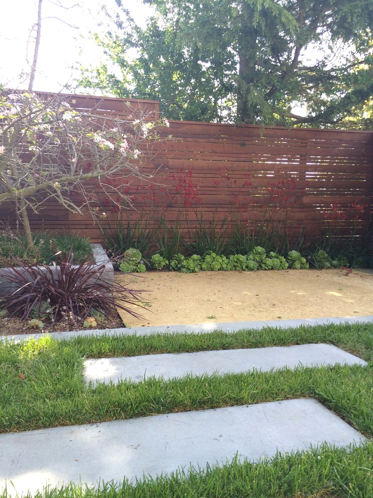 san francisco garden - Contemporary - Landscape - San Francisco - by ...