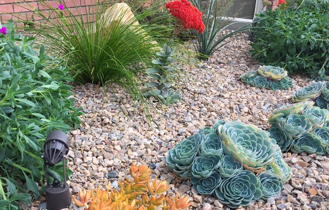 Sanford Front Yard - Contemporain - Jardin - Los Angeles - par Taylor's ...
