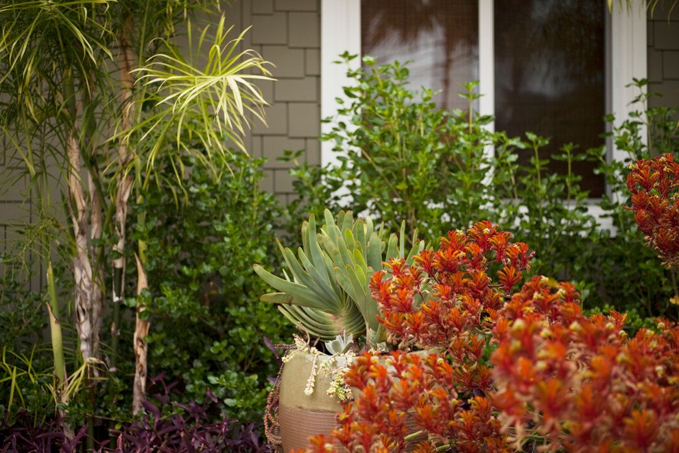 Santa Barbara - Landscape - Santa Barbara - by Scott Menzel Landscape ...