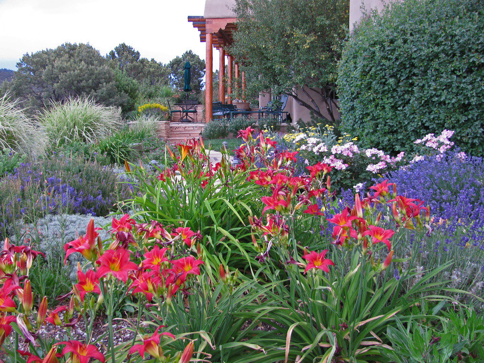 Santa Fe Permaculture - Traditional - Landscape - Albuquerque - by ...