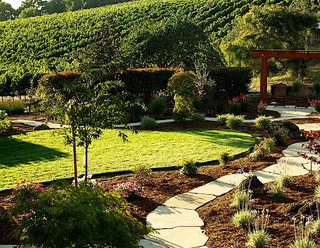 Santa Rosa Lawn & Garden - Traditional - Landscape - San Francisco - by ...