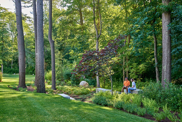 Backyard of the Week: Woodland Garden With Scandinavian Roots