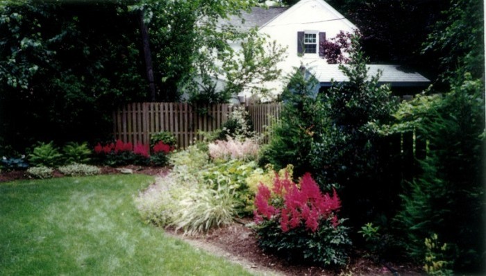 Screening with color BEFORE and AFTER - Traditional - Landscape ...
