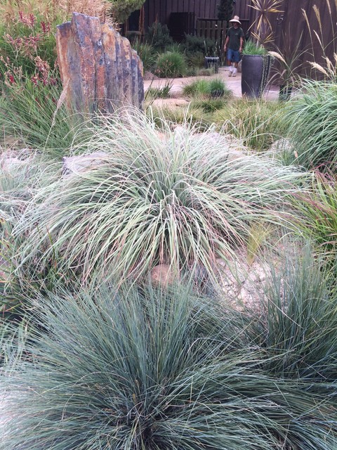 Seaside Garden - Mediterranean - Garden - Santa Barbara - by trace ...