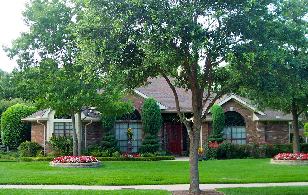 seasonal color - Traditional - Landscape - Dallas - by FOREVERGREEN ...