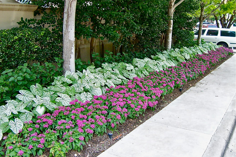 seasonal color - Traditional - Landscape - Dallas - by FOREVERGREEN ...