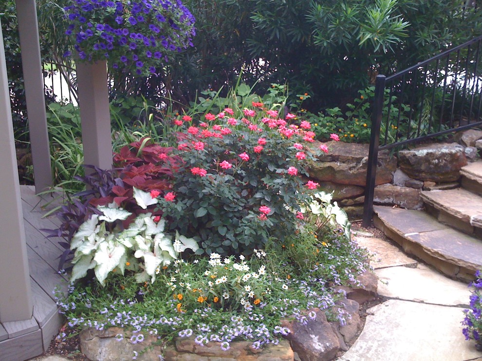 Seasonal Color - Traditional - Landscape - Dallas - by User | Houzz