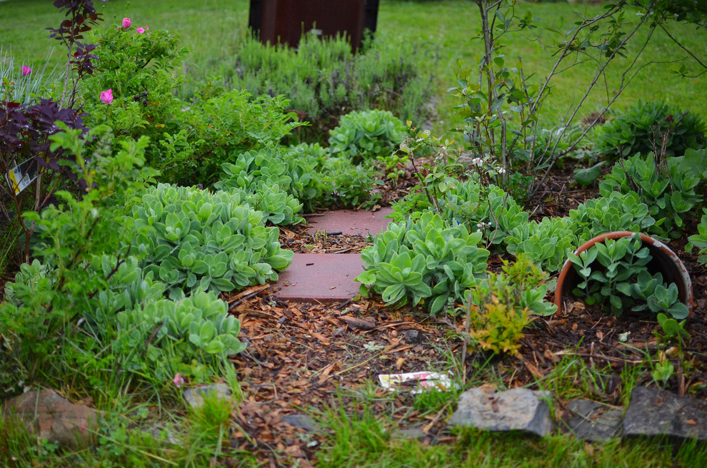 sedums - Traditional - Landscape - Philadelphia - by Amy Renea | Houzz