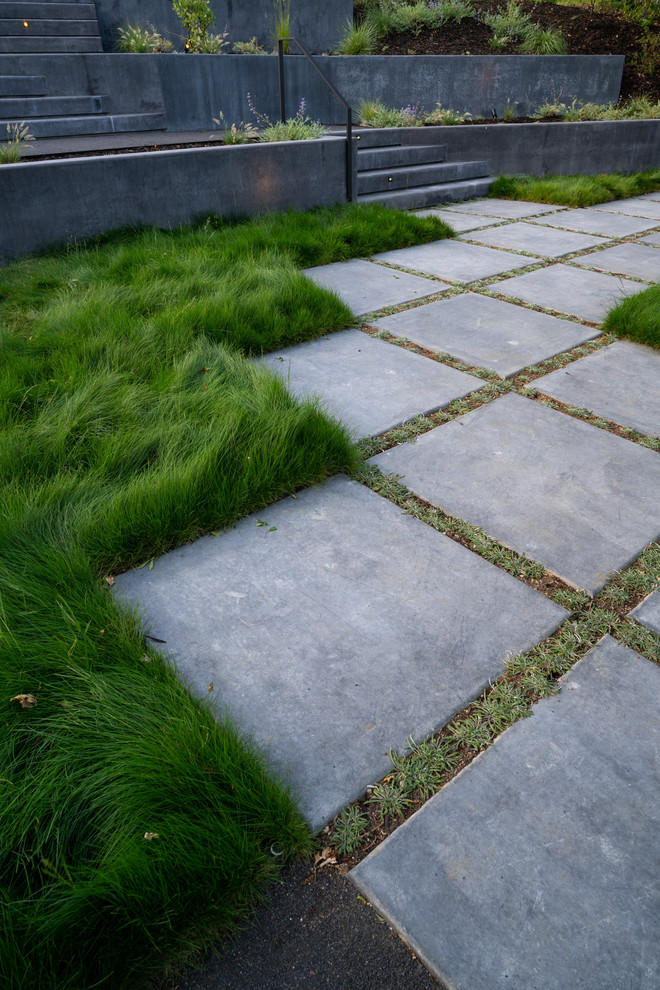 Serpentine - Modern - Landscape - San Francisco - by Seed Studio ...