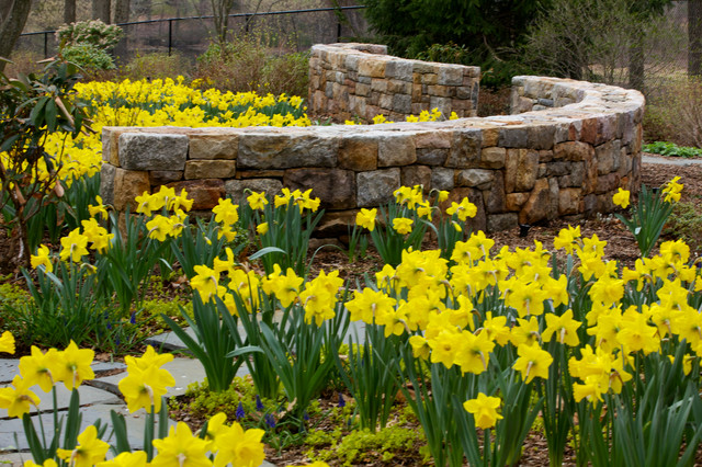 10 Beautiful Ways to Landscape With Bulbs