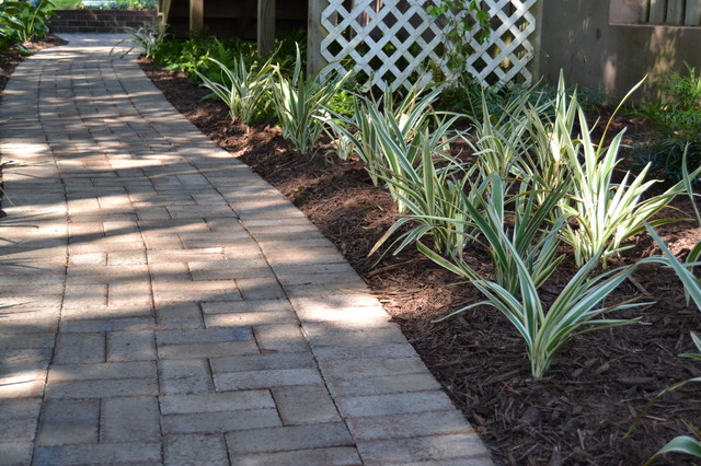 Shaded Walkway - Garden - Charleston - by Brownswood Nursery Inc | Houzz AU
