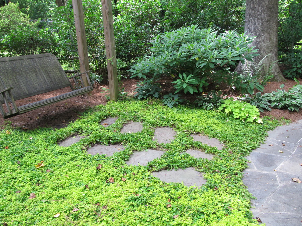 Shady Backyard - Traditional - Landscape - Atlanta - by User | Houzz