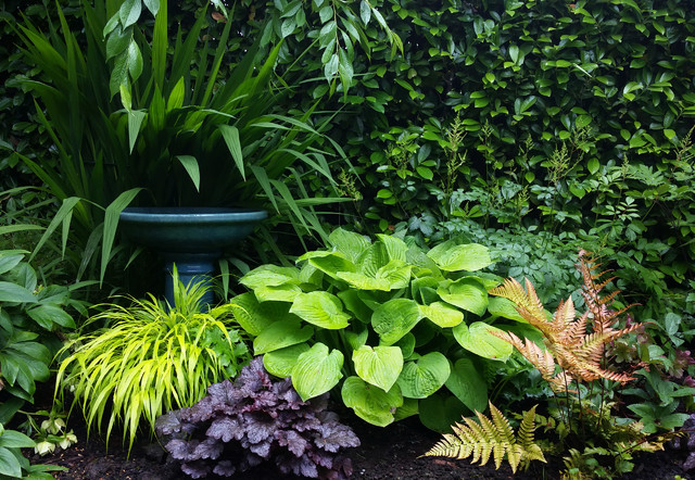 Shady Border Planting - Traditional - Garden - Seattle - by Olander ...