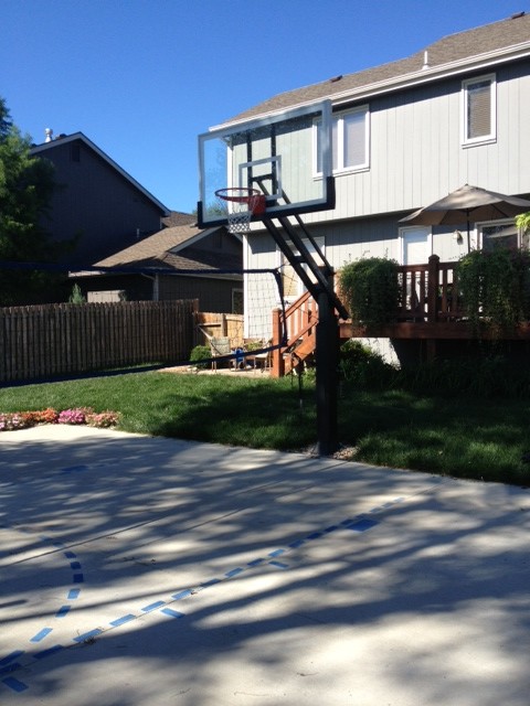 Shelly M's Pro Dunk Platinum Basketball System on a 33x25 in Lawrence ...