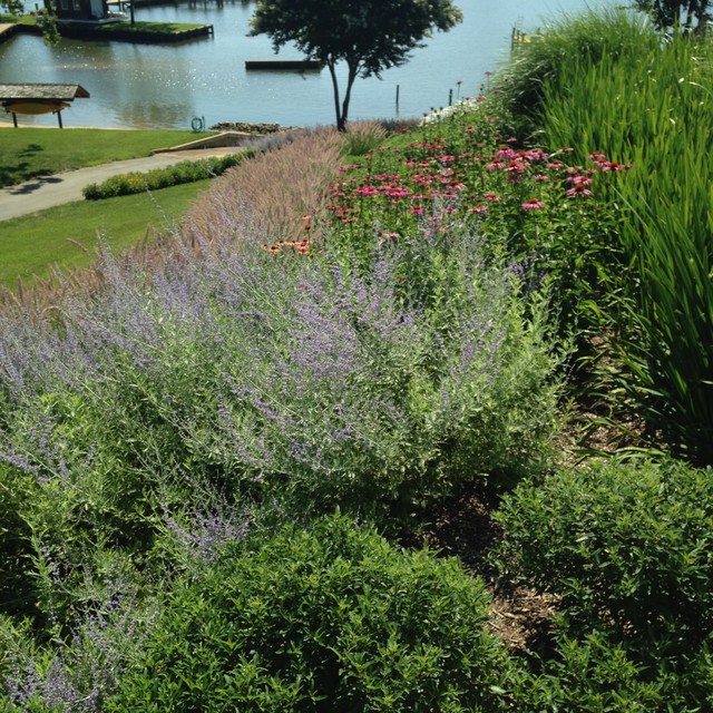 Shoreline Sustainable Landscaping - Éclectique - Jardin - Baltimore ...