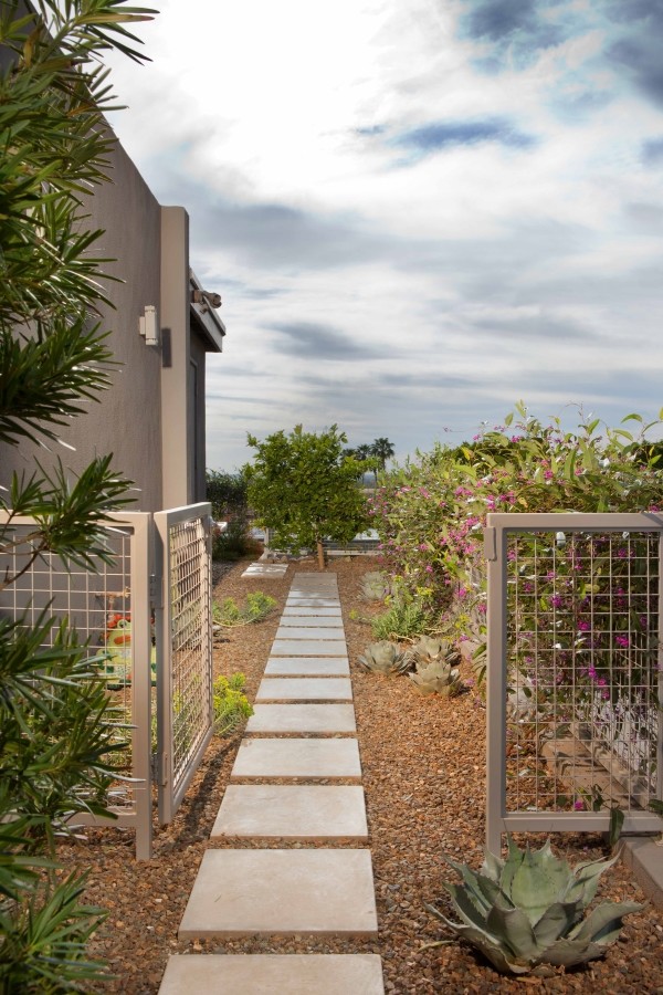 Side Walkway - Southwestern - Landscape - Phoenix - by Exteriors By ...