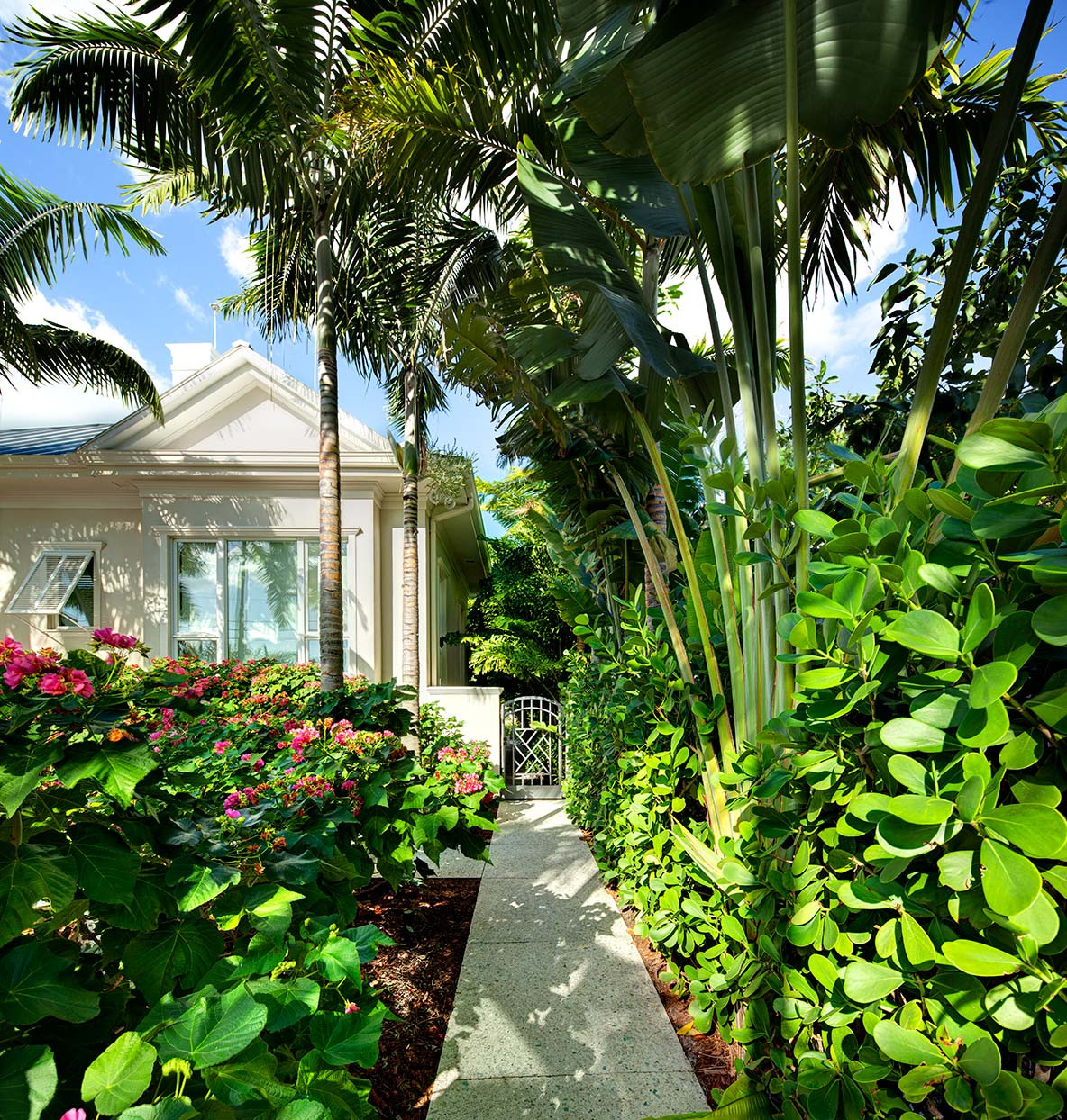 Exotic Landscaping With Palms