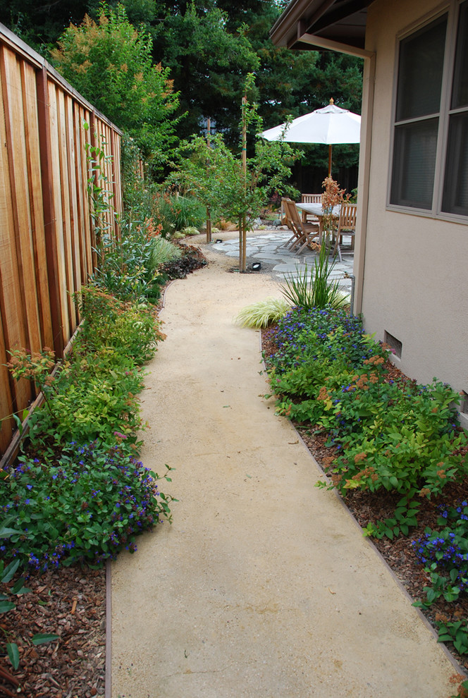 Side yard path to patio - Asian - Landscape - San Francisco - by ...