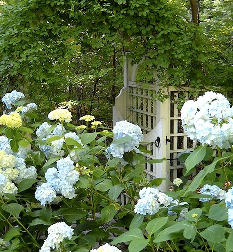 Side yard with garden, gate and fence - Traditional - Landscape ...