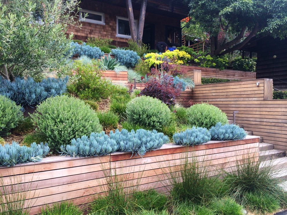 Slope Planting - Craftsman - Landscape - San Francisco - by Garden ...