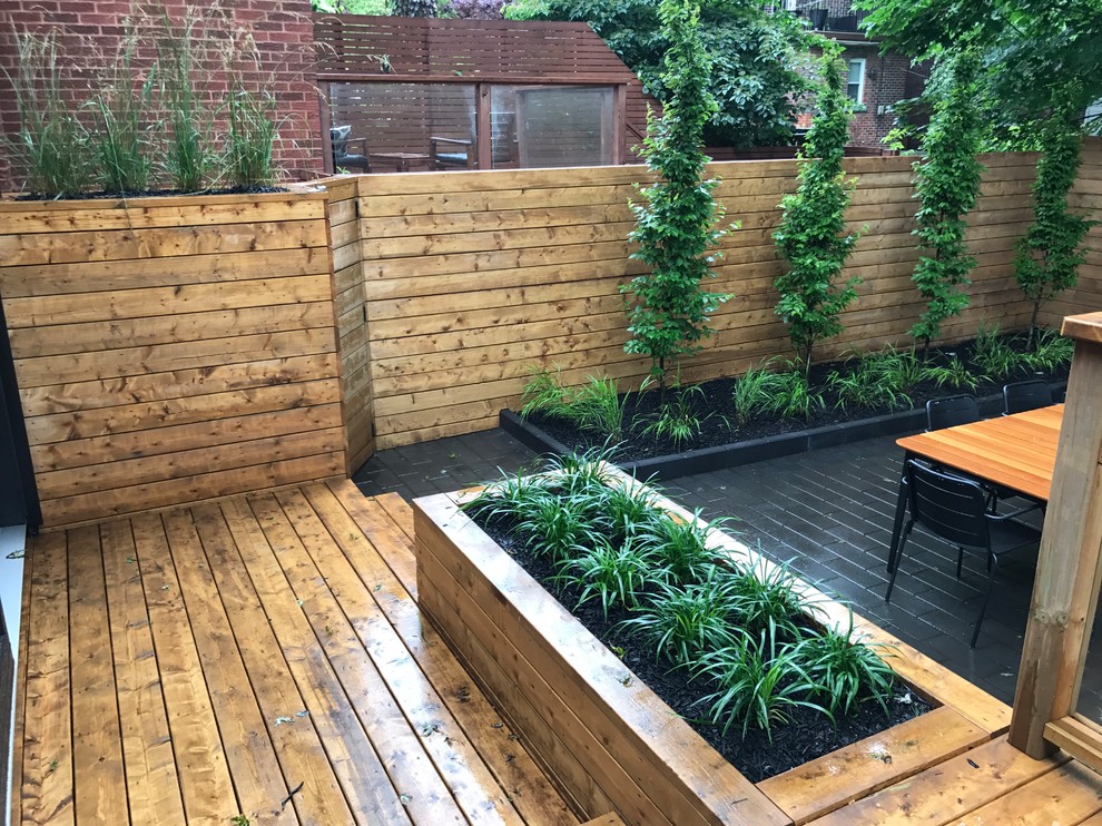 Small and Modern Backyards - Modern - Landscape - Toronto - by ...