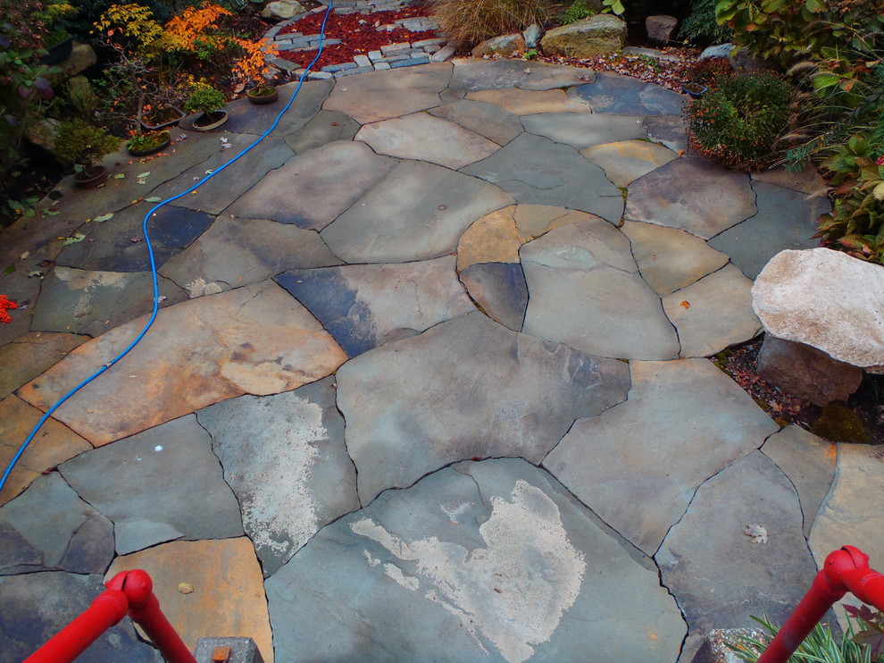 Small Backyard Landscape - Contemporary - Landscape - Philadelphia - by ...