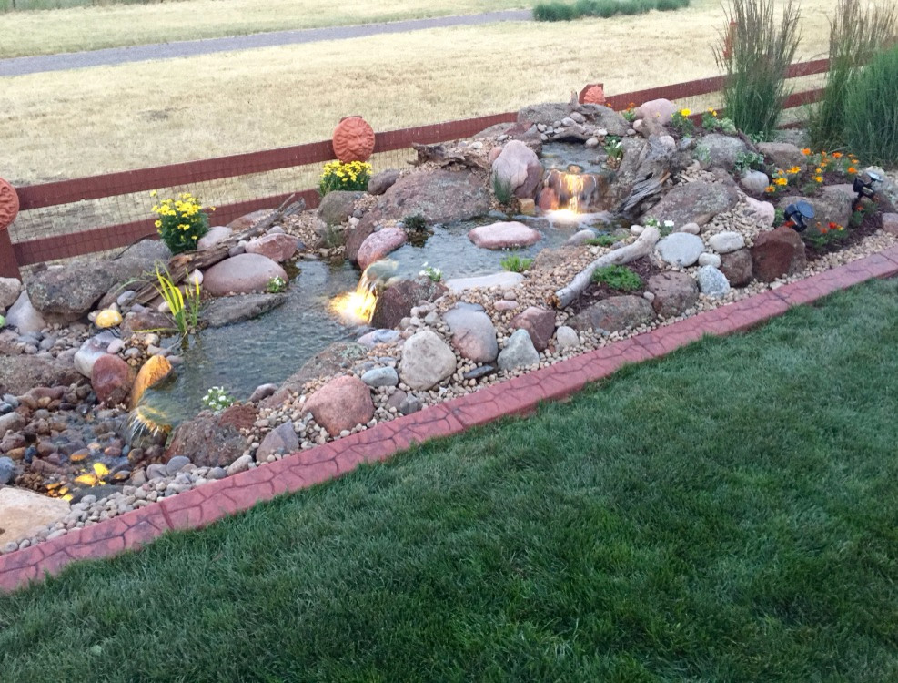 Small Backyard Pond - Transitional - Landscape - Denver - by Colorado ...