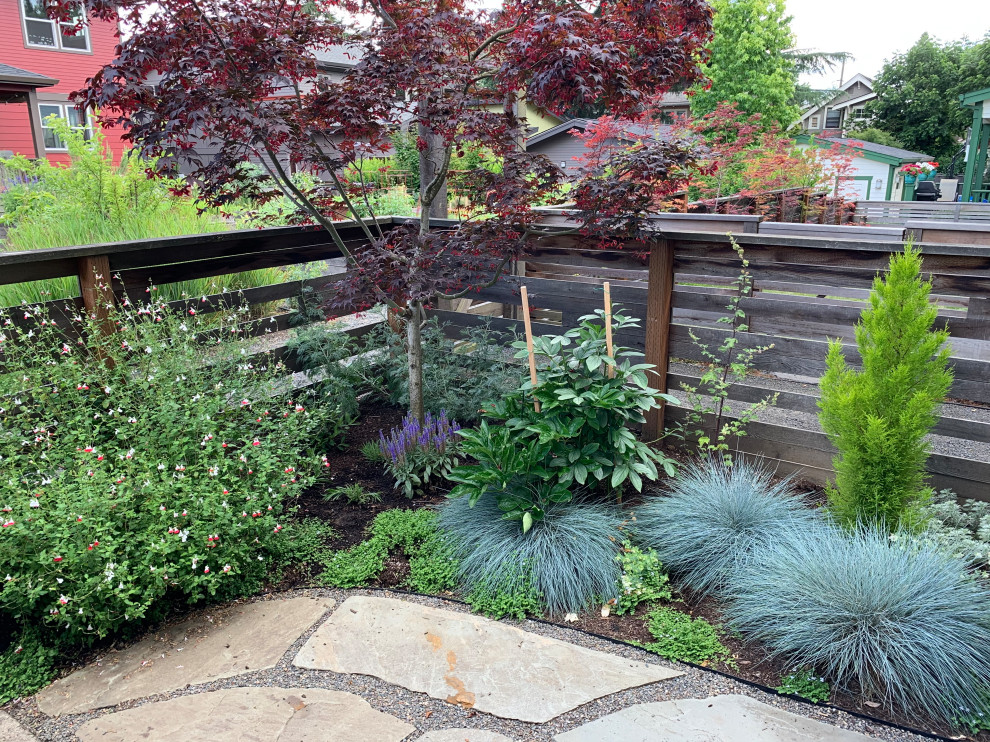Small Corner Planting - Contemporary - Landscape - Portland - by Plan ...