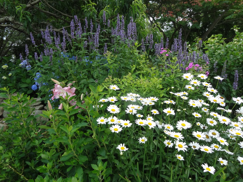 Small Spaces - Traditional - Landscape - Boston - by Maria Hickey ...