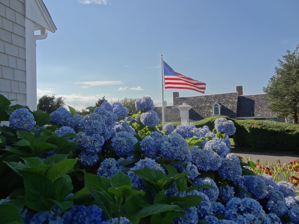 Small Spaces - Traditional - Landscape - Boston - by Maria Hickey ...