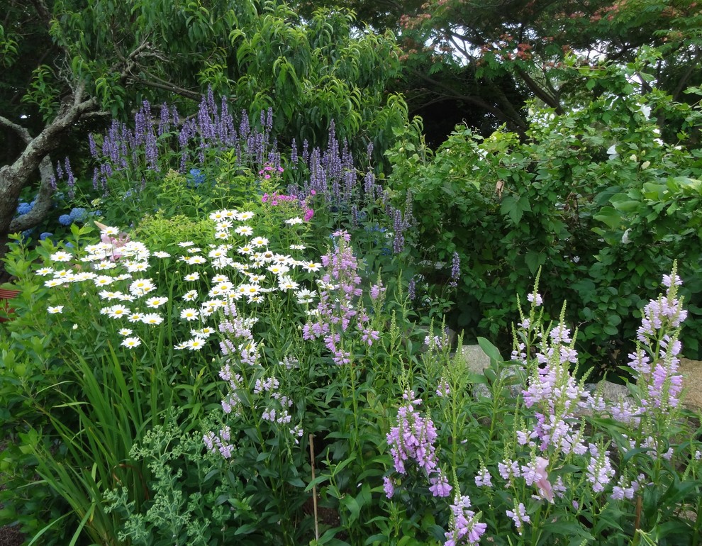 Small Spaces - Traditional - Landscape - Boston - by Maria Hickey ...