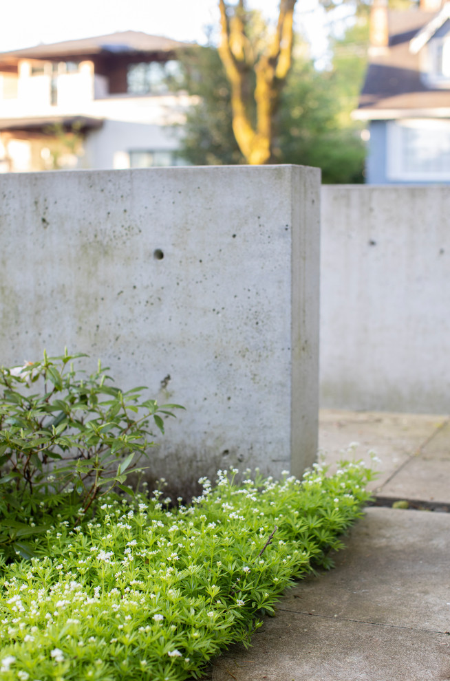 Softscape - Jardin - Vancouver - par Aloe Designs | Houzz