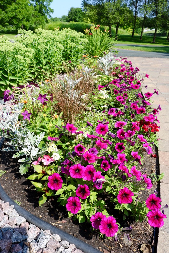 Softscape (Flowers, Flower beds and more) - Traditional - Landscape ...