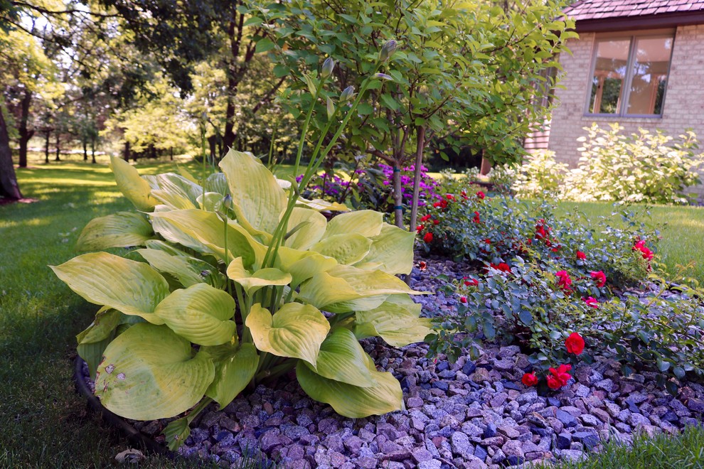 Softscape (Flowers, Flower beds and more) - Traditional - Landscape ...