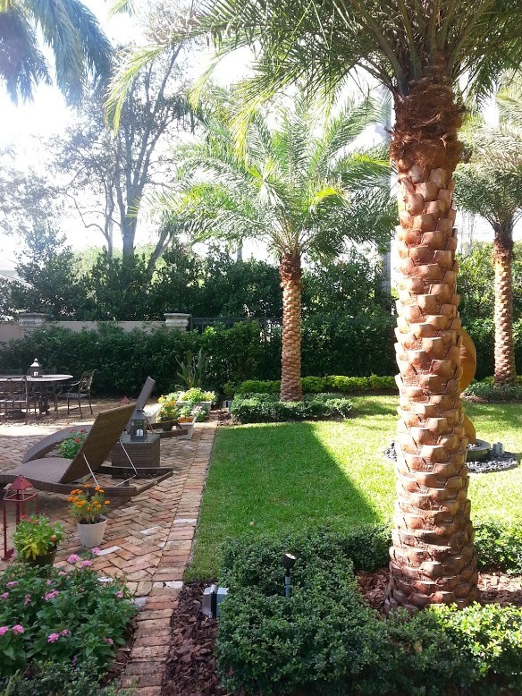 South Miami Backyard Project - Landscape - Miami - by Cortada Landscape ...