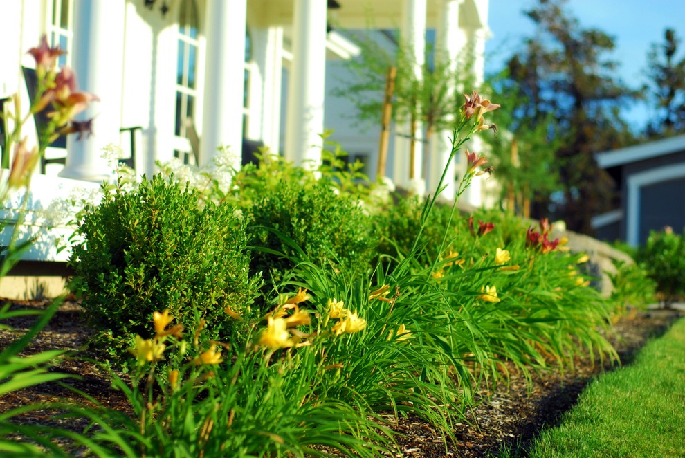 Southern Charm Landscape - Traditional - Landscape - Portland - by ...