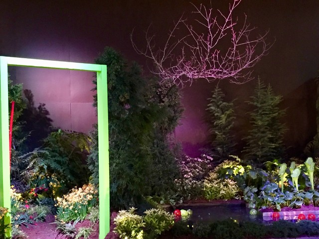 Southern Spring Home And Garden Destination Imagination Colorado