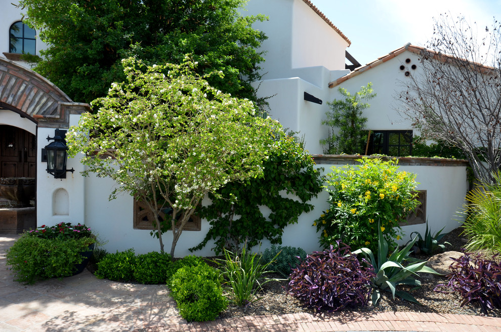 Southwestern Plants - American Southwest - Garden - Phoenix - by Noelle ...