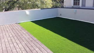 Specialty Projects - Modern - Landscape - Tampa - by Beach Bum Turf Co ...