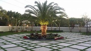 Specialty Projects - Modern - Landscape - Tampa - by Beach Bum Turf Co ...