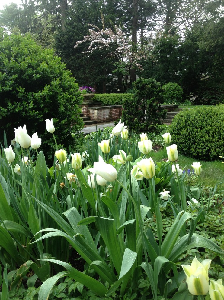 Spring Bulb Designs - Traditional - Landscape - Boston - by The Garden ...