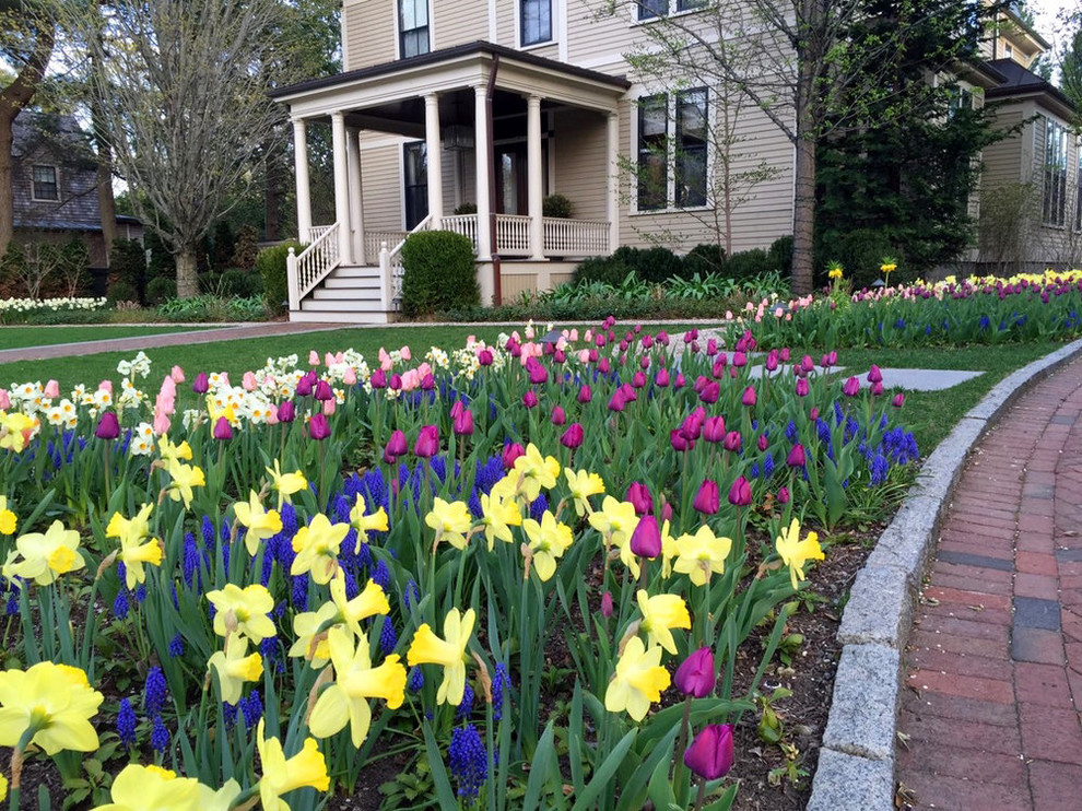 Spring Bulb Designs - Traditional - Landscape - Boston - by The Garden ...
