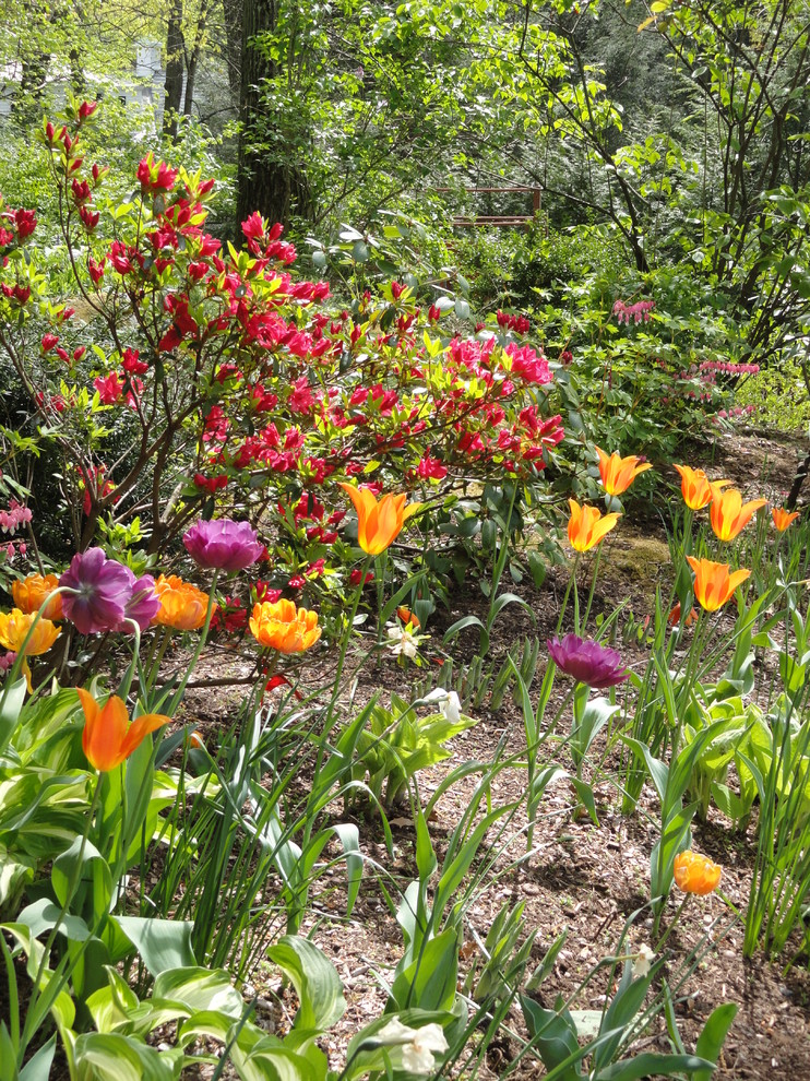 Spring Bulb Designs - Traditional - Landscape - Boston - by The Garden ...