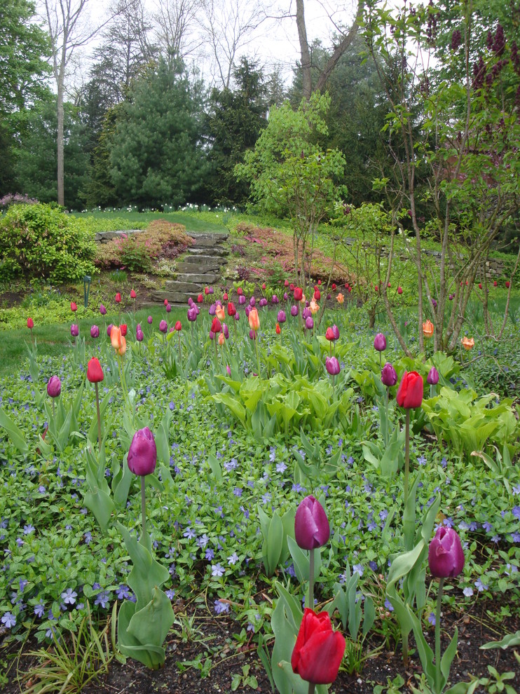 Spring Bulb Designs - Traditional - Landscape - Boston - by The Garden ...