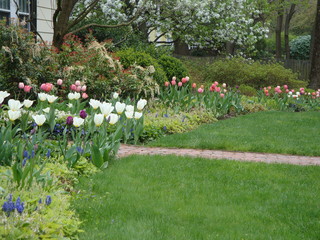 Spring Bulb Designs - Traditional - Landscape - Boston - by The Garden ...