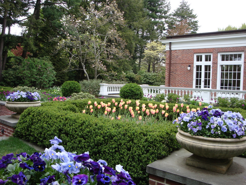 Spring Bulb Designs - Traditional - Landscape - Boston - by The Garden ...