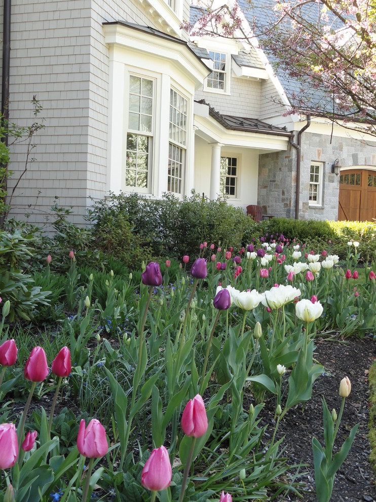 Spring Bulb Designs - Traditional - Landscape - Boston - by The Garden ...
